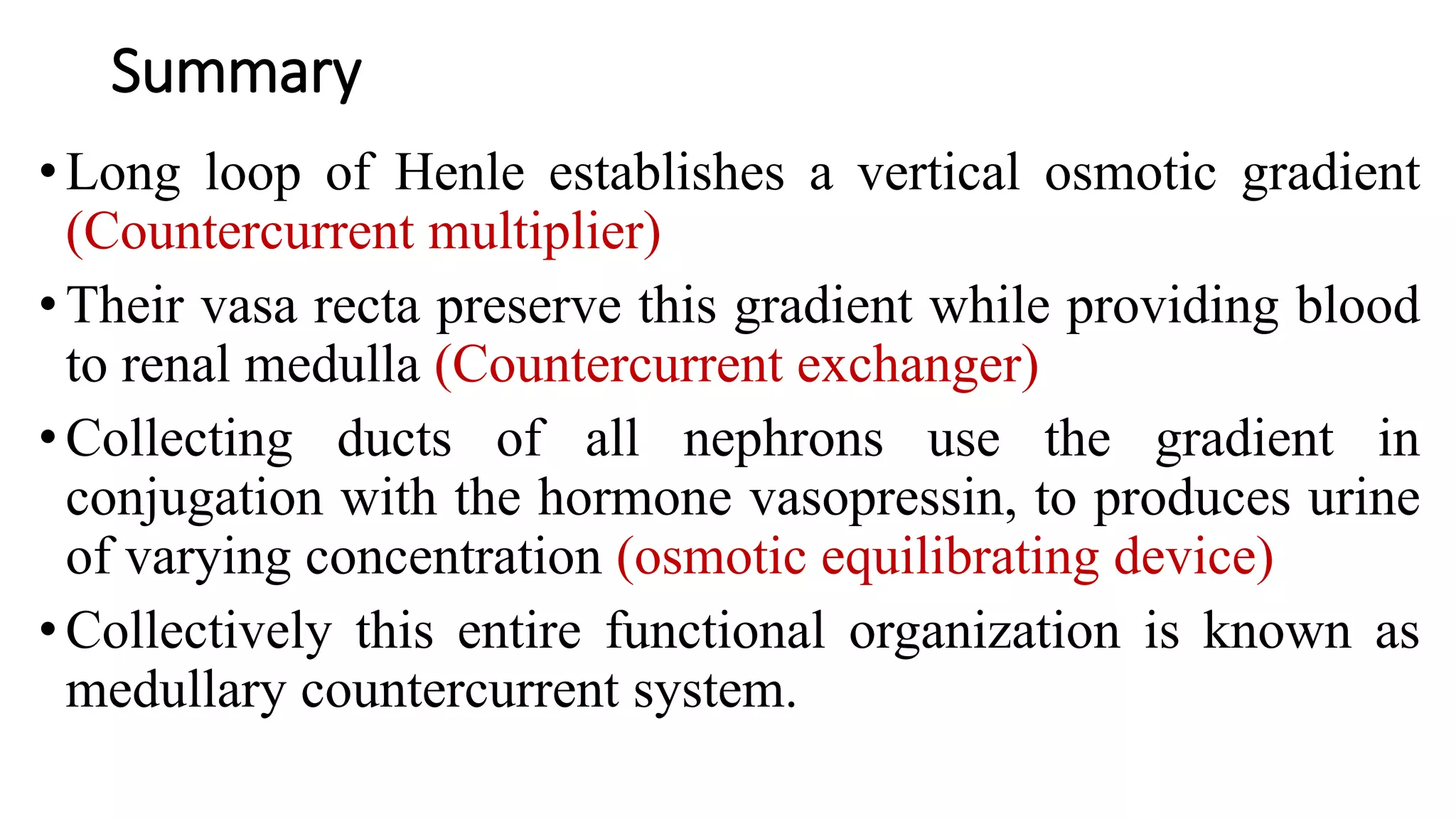 THE COUNTERCURRENT.pptx