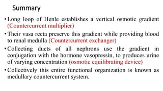 THE COUNTERCURRENT.pptx