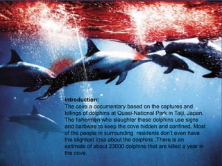 The Cove | PPT