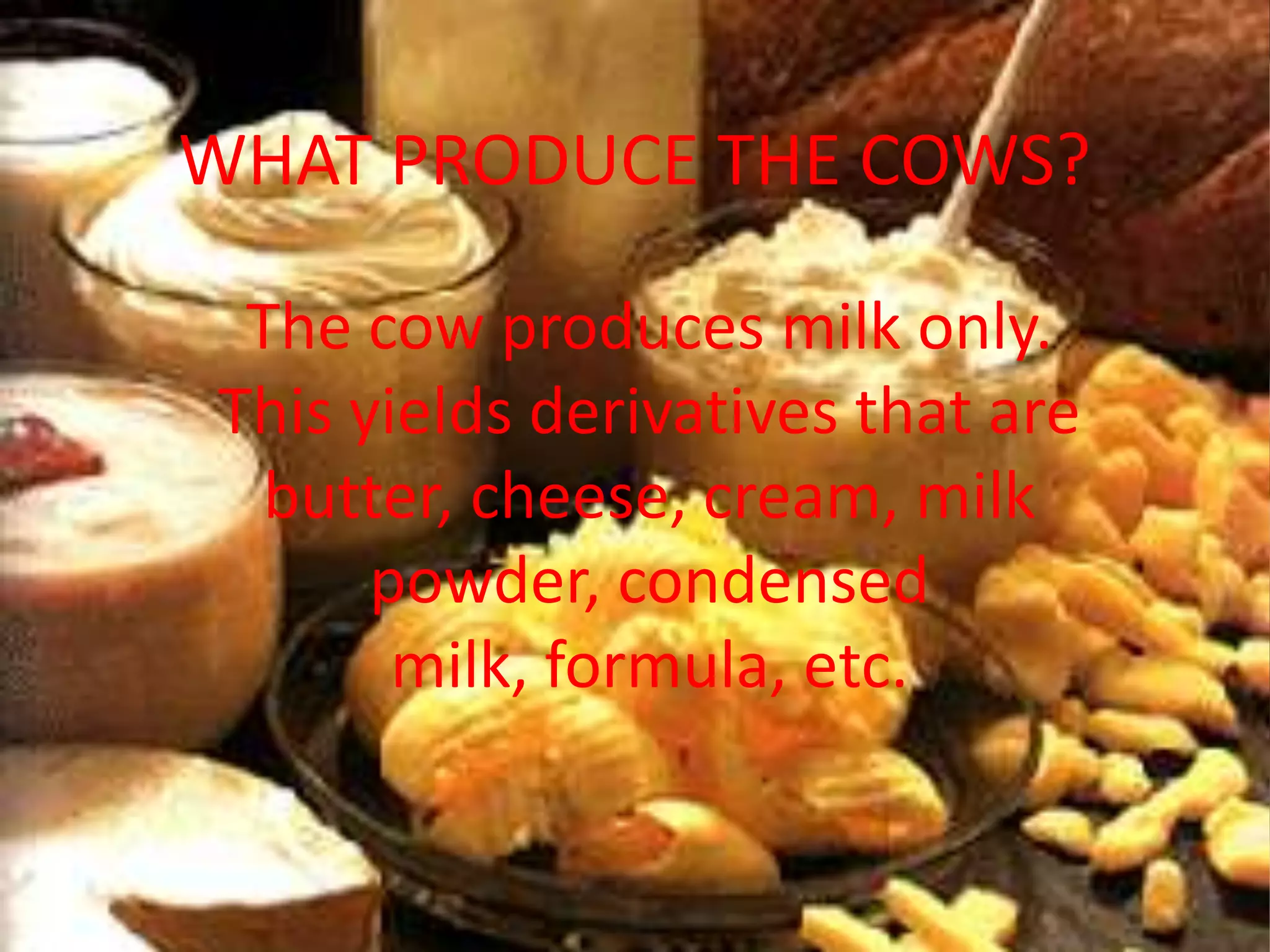 The cow and the bull | PPTX