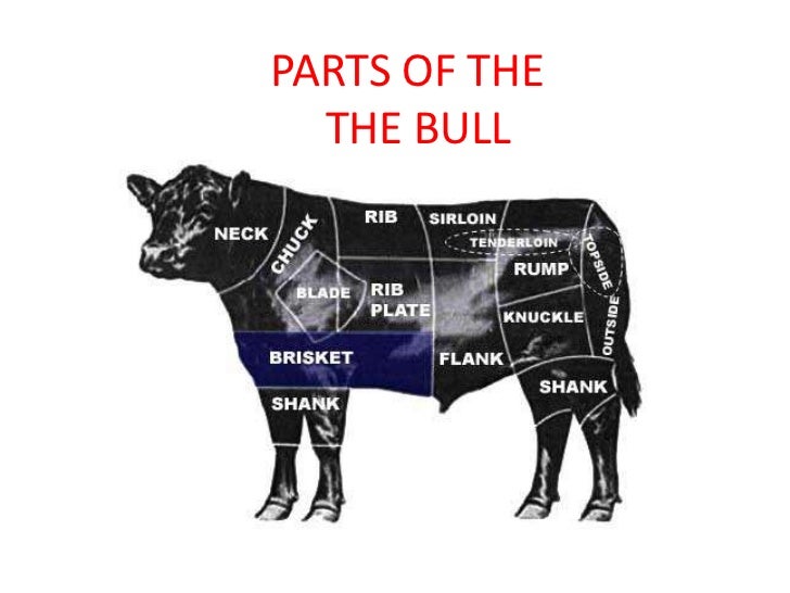 The cow and the bull