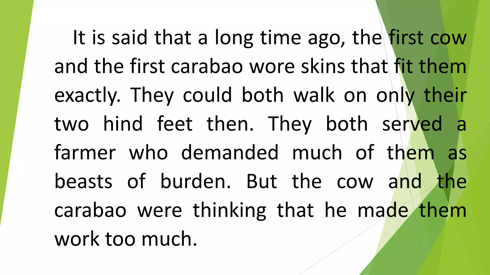 The Cow and the Carabao.pptx