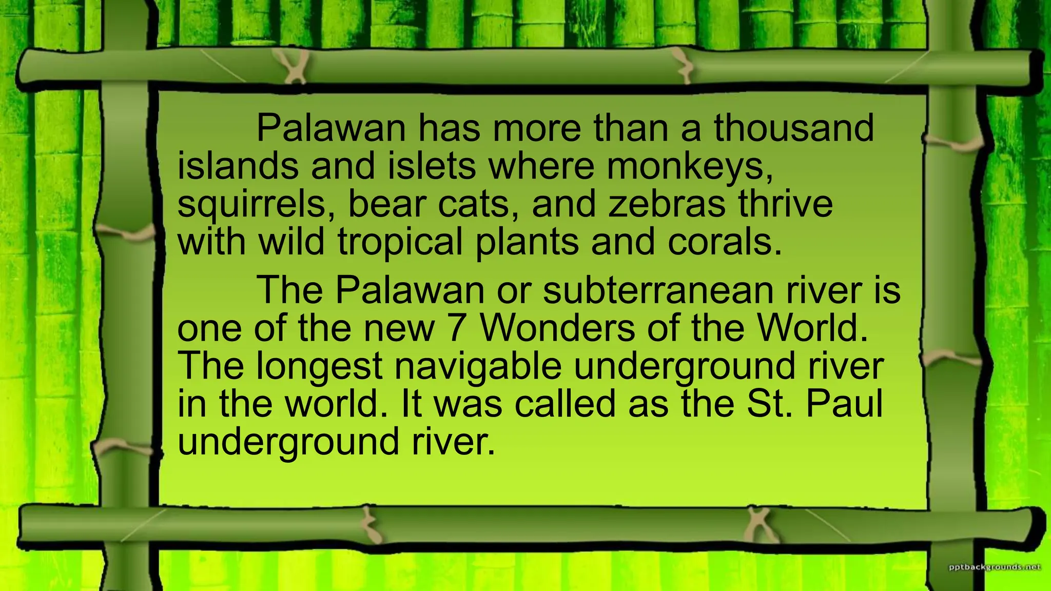 The Crafts of Palawan.pptx..................... | PPTX