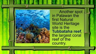 The Crafts of Palawan.pptx..................... | PPTX