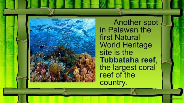 The Crafts of Palawan.pptx..................... | PPTX