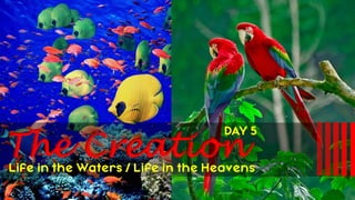 The Creation | PPT