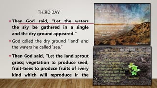 The creation | PPTX | Christianity | Religion & Spirituality