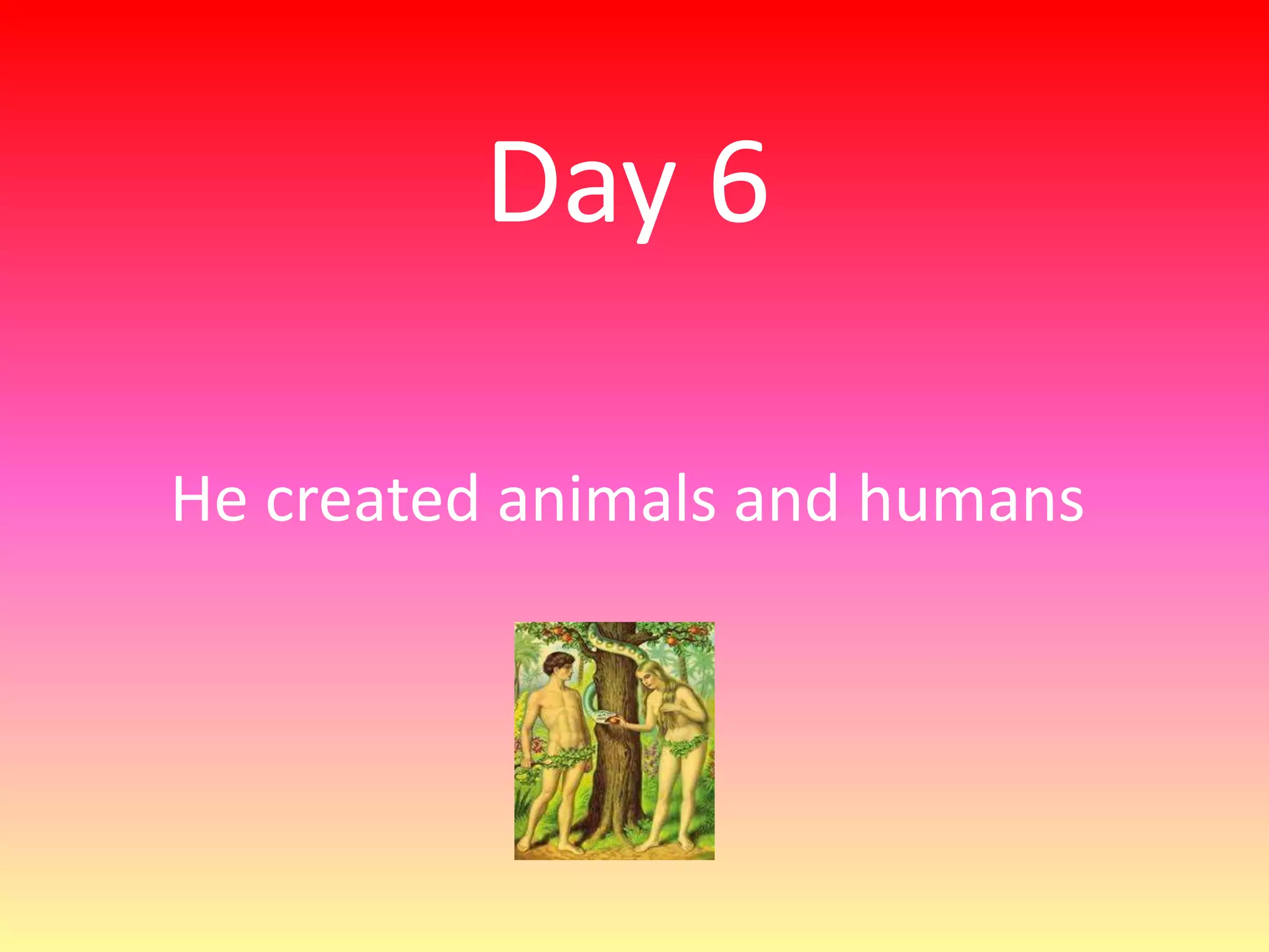 The creation story | PPTX