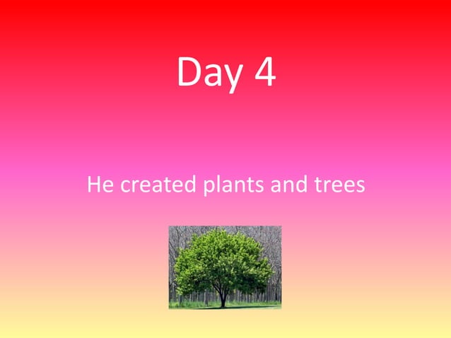 The creation story | PPTX