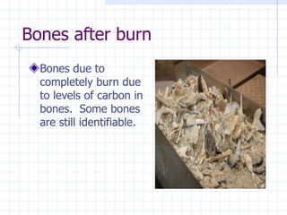 The Cremation Process | PPT