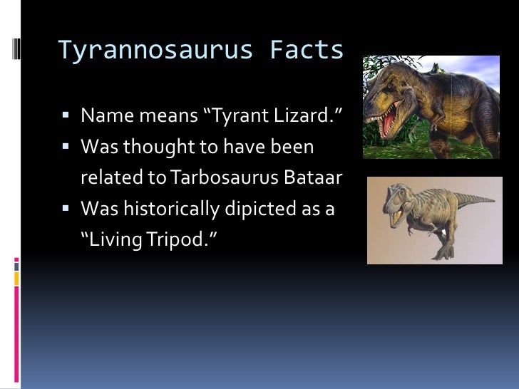 The cretaceous period