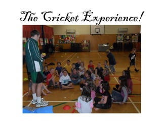 The cricket experience! | PDF