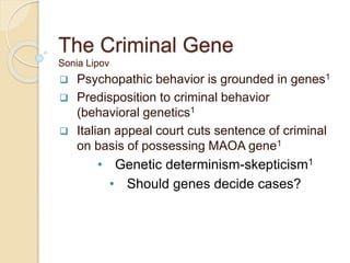 The Criminal Gene Murs | PPT