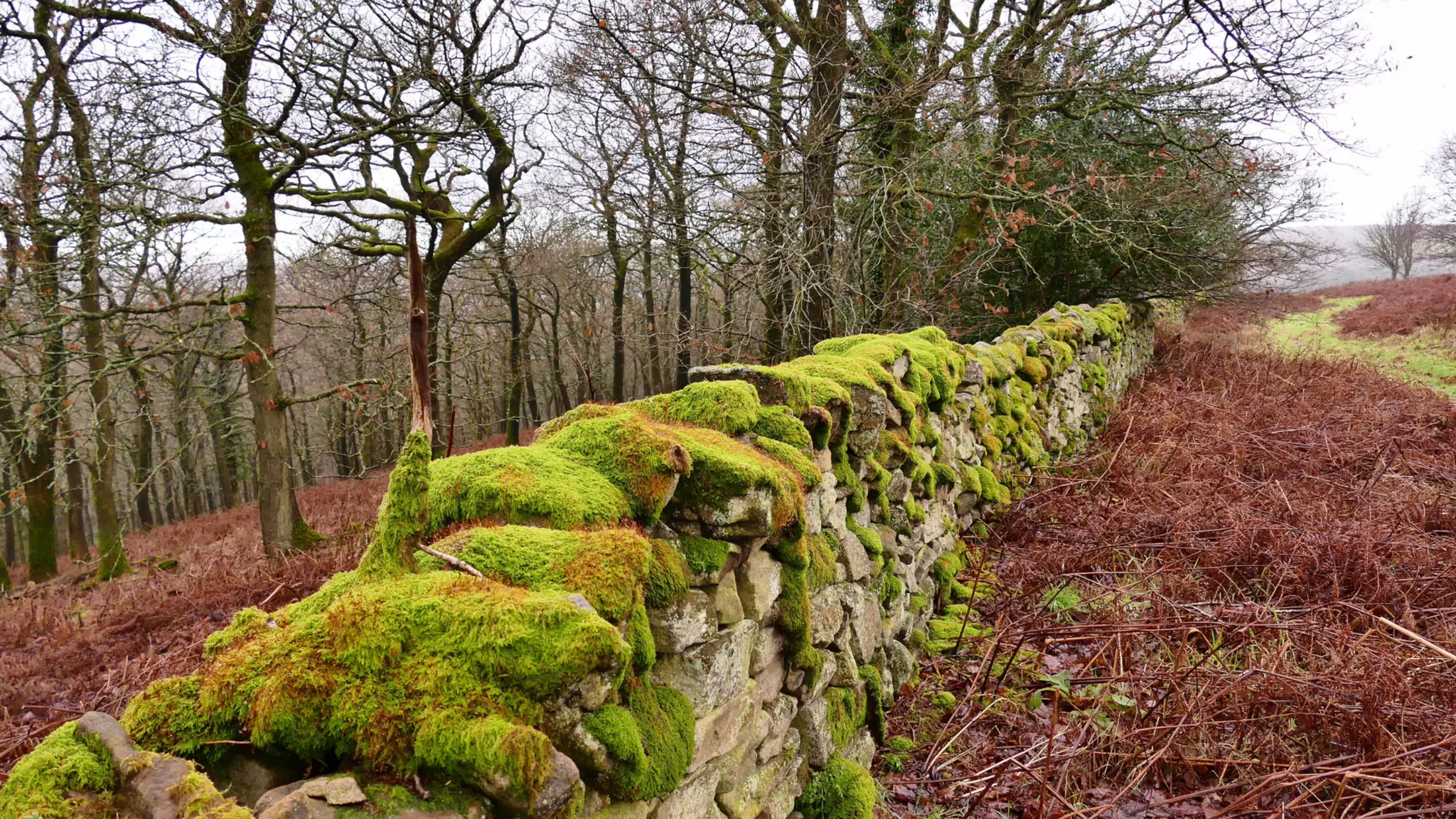 The crossroads of Information Architecture and Knowledge Management | PPT