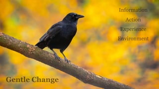 The crossroads of Information Architecture and Knowledge Management | PPT