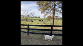 The crossroads of Information Architecture and Knowledge Management | PPT