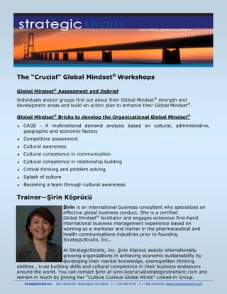 The Crucial Global Mindset | PDF