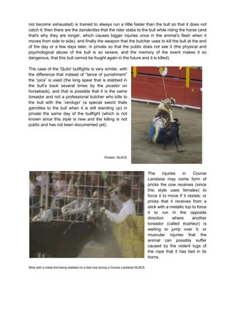The cruelty of_the_bloodless_bullfights | PDF