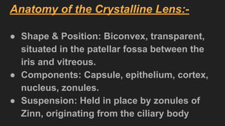 The crystalline lens of eye/lens/....pdf
