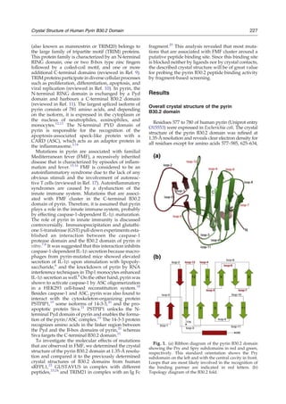 The crystal structure of human pyrin B30. 2 domain: implications for ...
