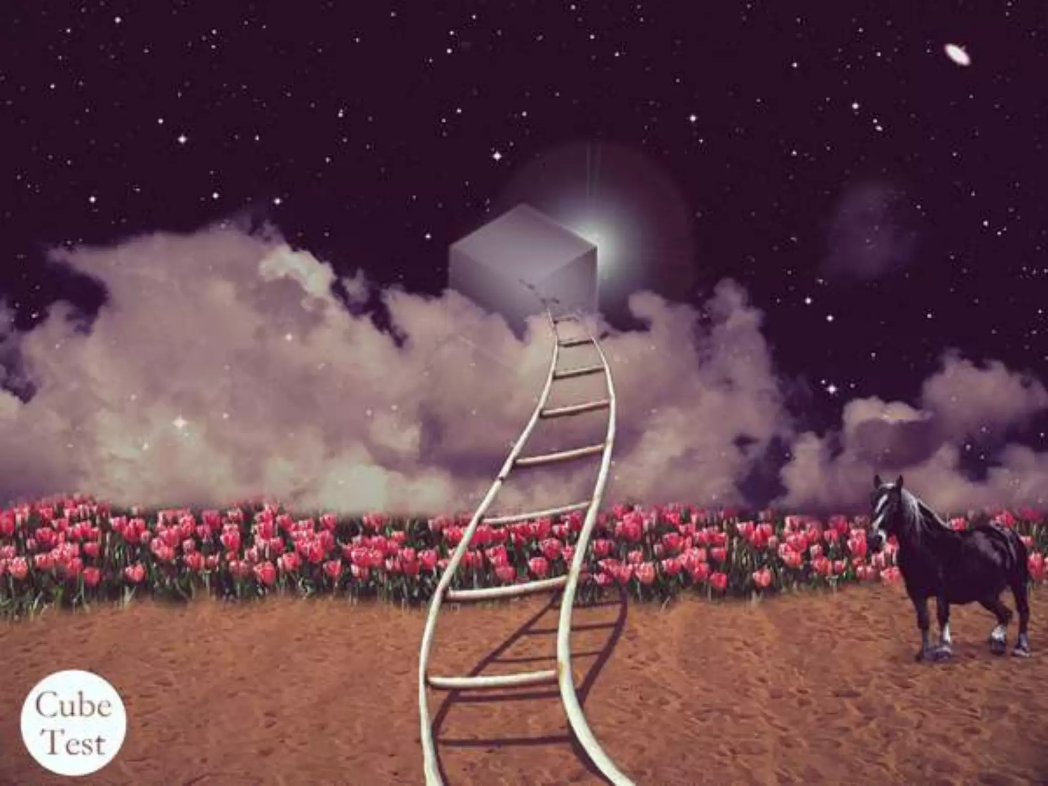 The Cube Personality Test Questions | PPTX