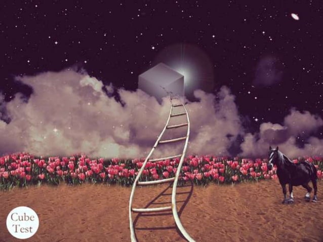 The Cube Personality Test Questions | PPTX | Science