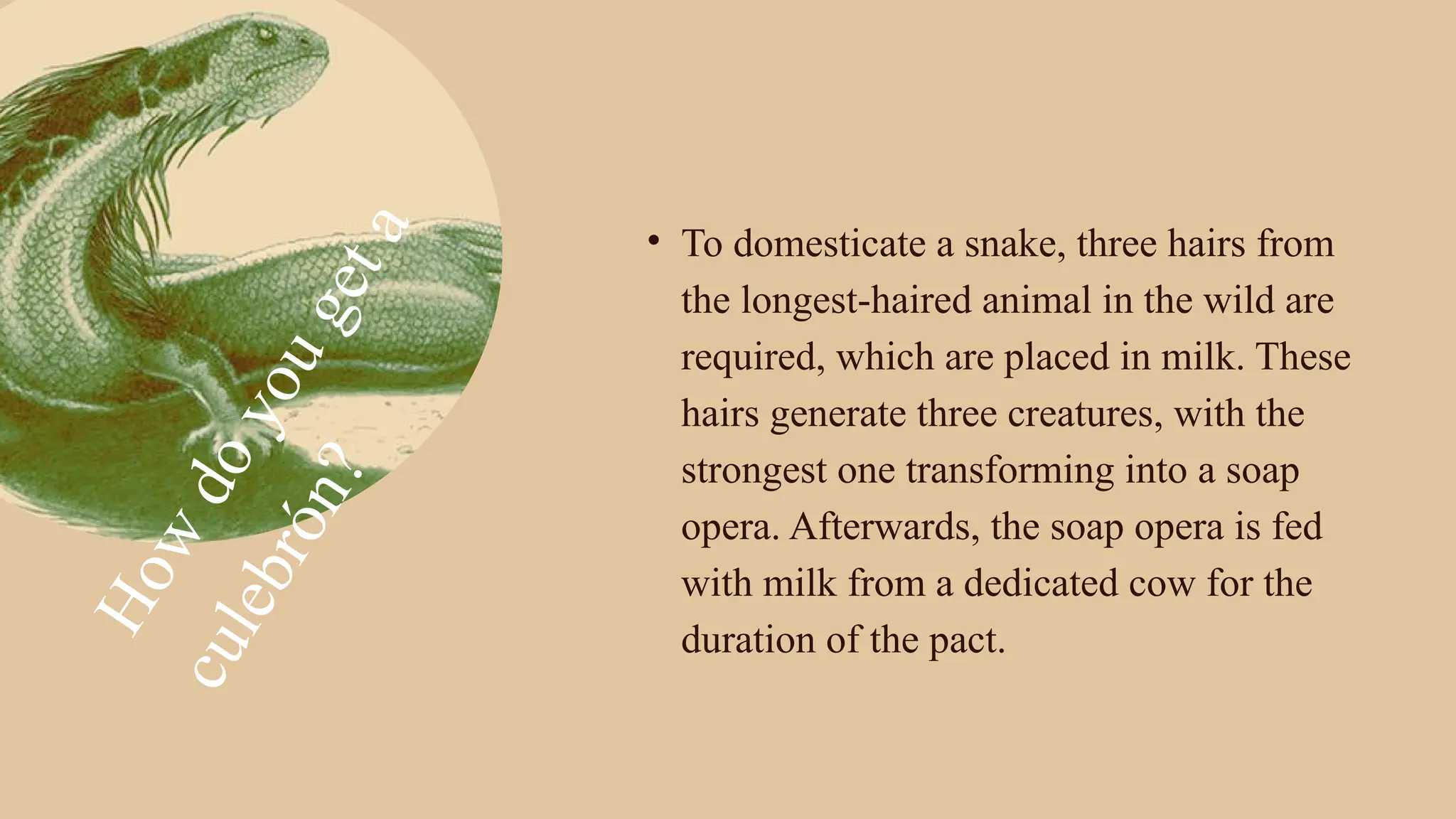 presentacion The Culebrón, clase de ingles | PPT