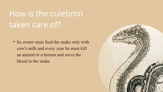 presentacion The Culebrón, clase de ingles | PPT