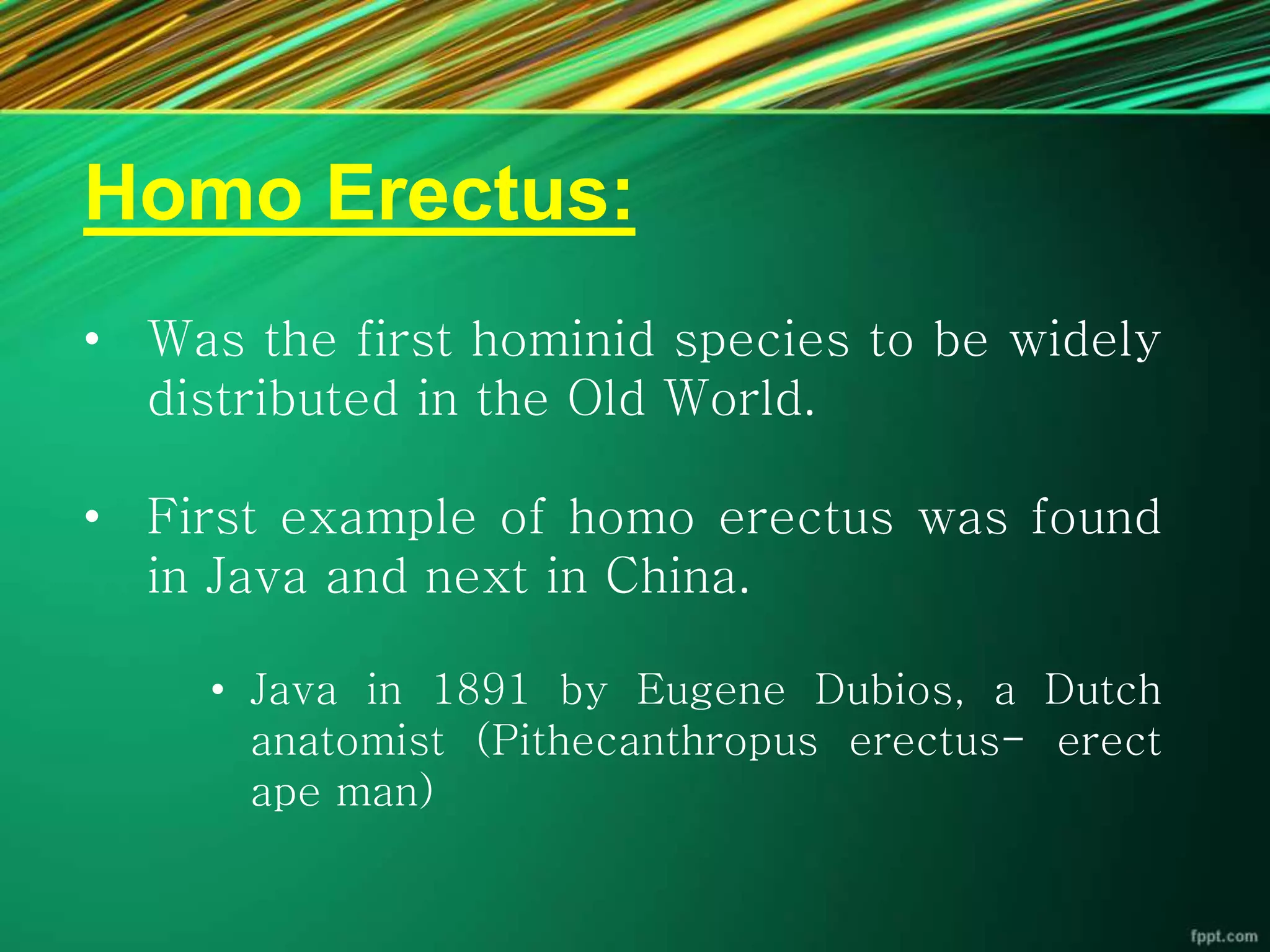 The culture of early hominids | PPTX
