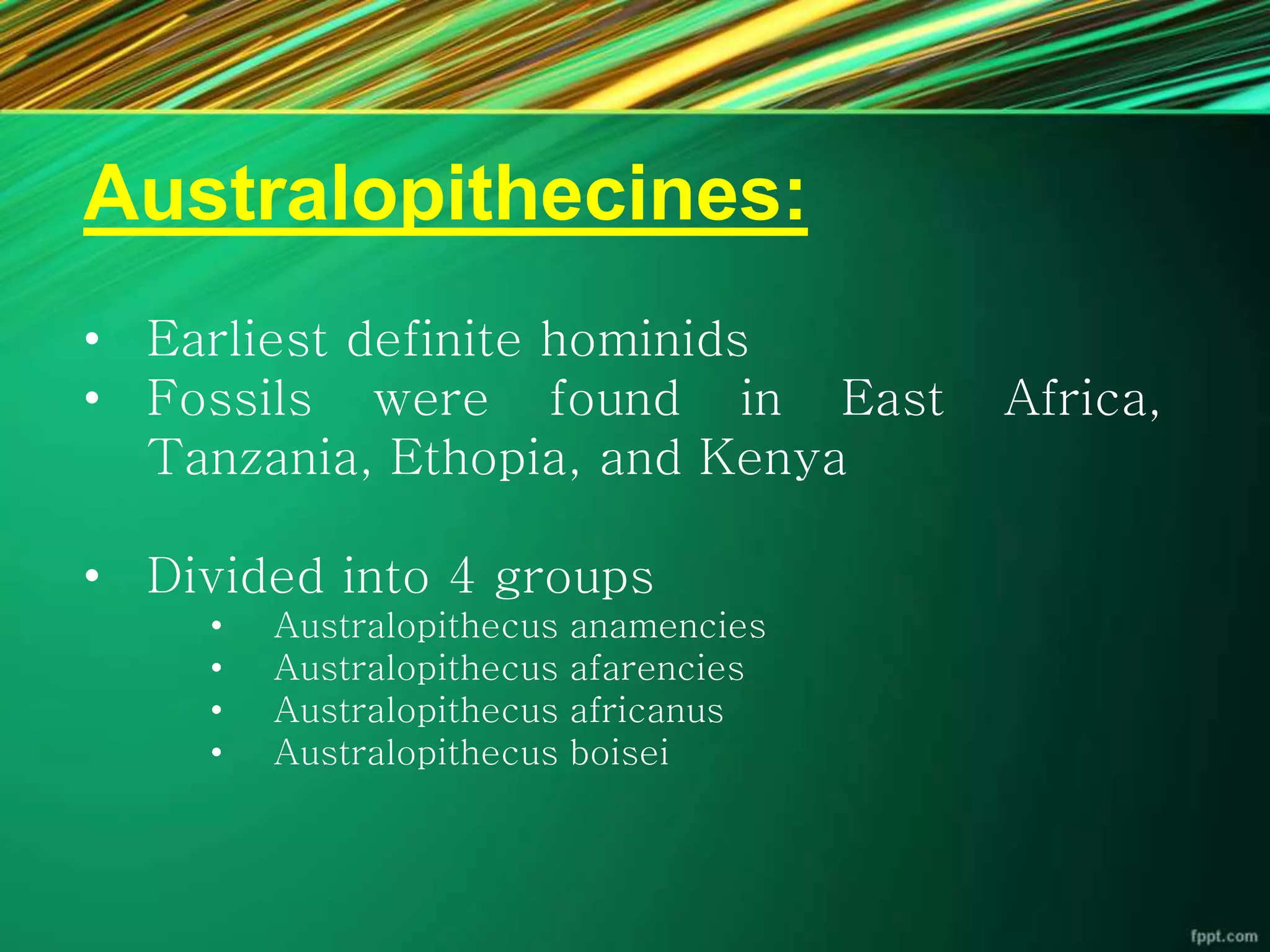 The culture of early hominids | PPTX