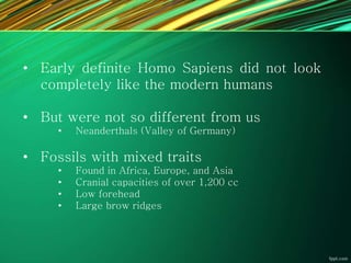 The culture of early hominids | PPTX