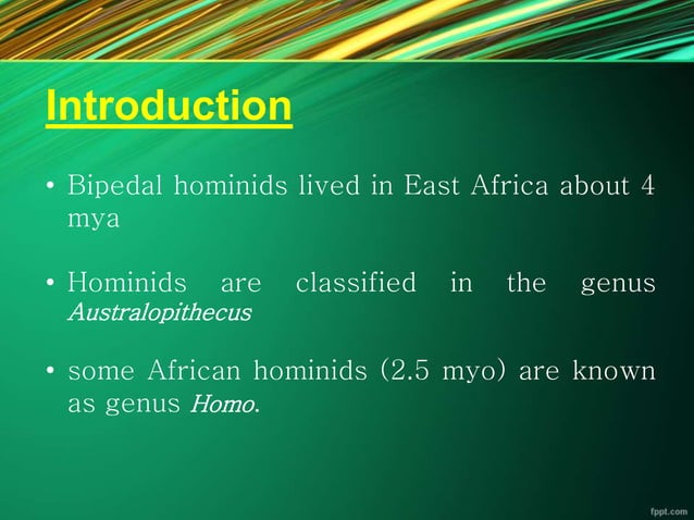 The culture of early hominids | PPTX