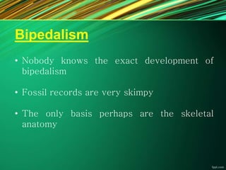 The culture of early hominids | PPTX