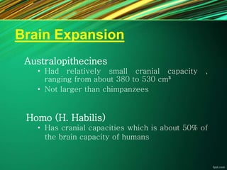 The culture of early hominids | PPTX