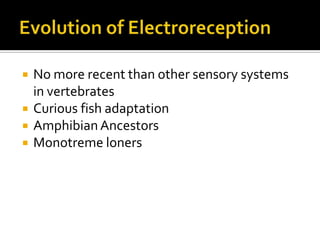 The curious evolution of electroreception in fish, amphibians, and monotremes ethan morgan | PPTX