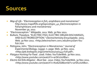 The curious evolution of electroreception in fish, amphibians, and ...