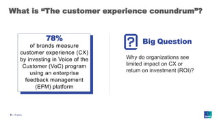 The Customer Experience Conundrum | PPT