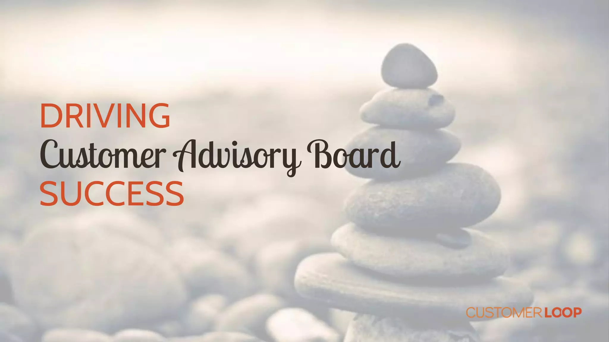 The CustomerLoop Customer Advisory Board model | PDF