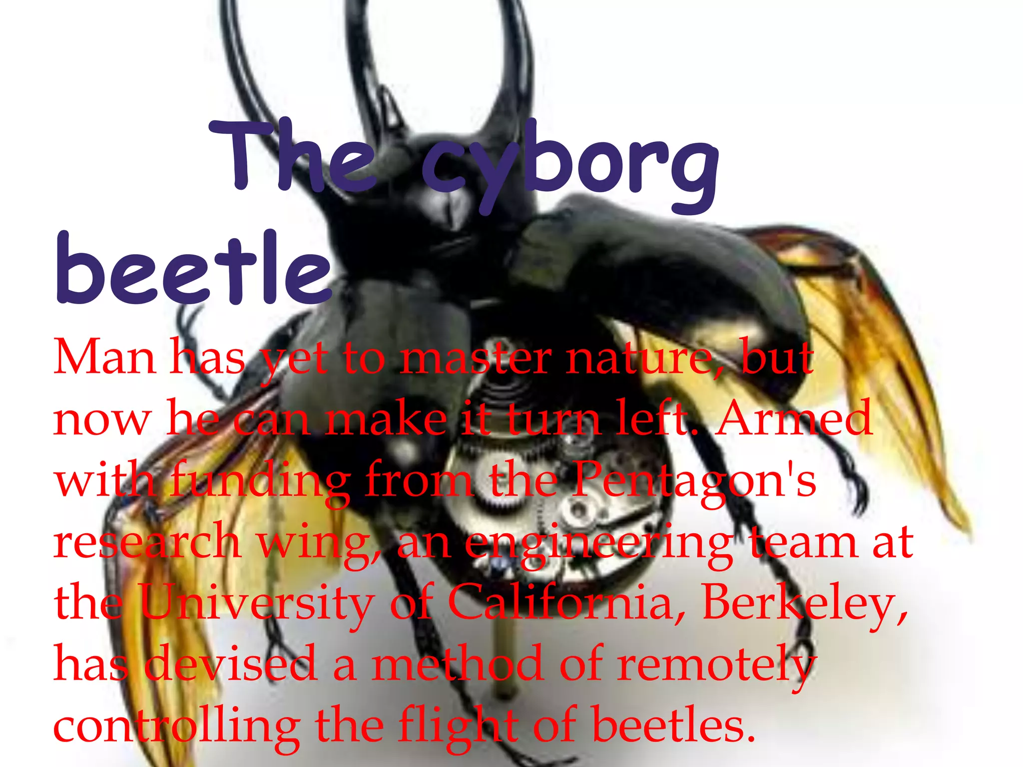 The cyborg beetle | PPT
