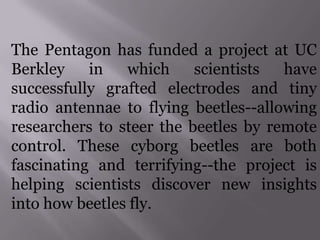 The cyborg beetle | PPT