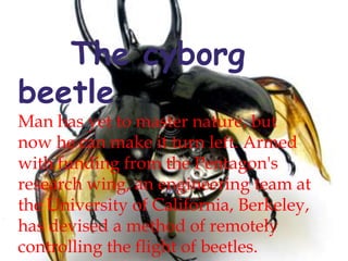 Cyborg Beetle Flying