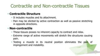The Cyriax Approach to Orthopaedic Manual Physical Therapy | PPTX