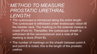 The cystoscope and accessories | PPTX
