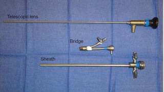 The cystoscope and accessories | PPTX