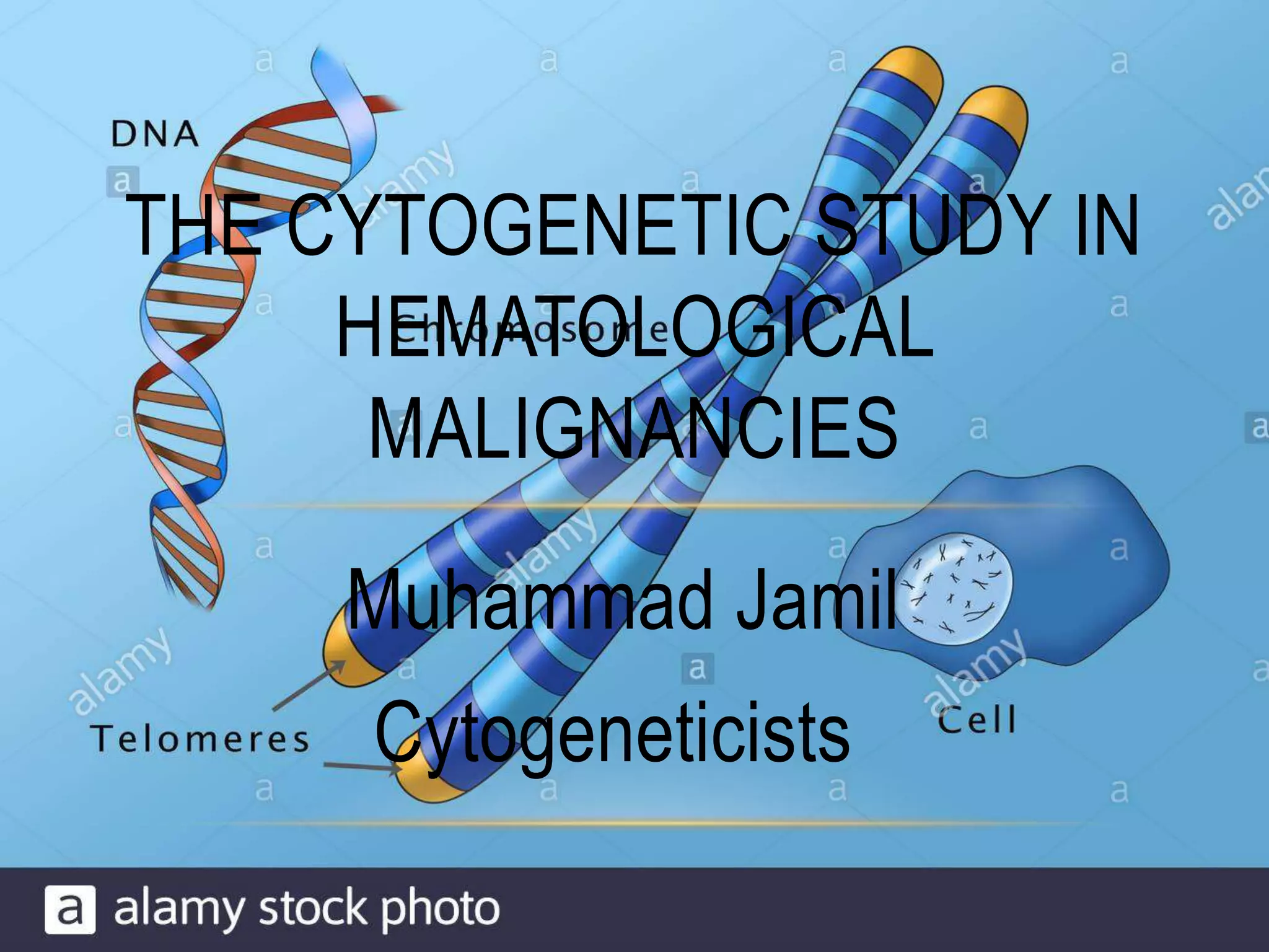 The cytogenetic study in hematological malignancies | PPTX