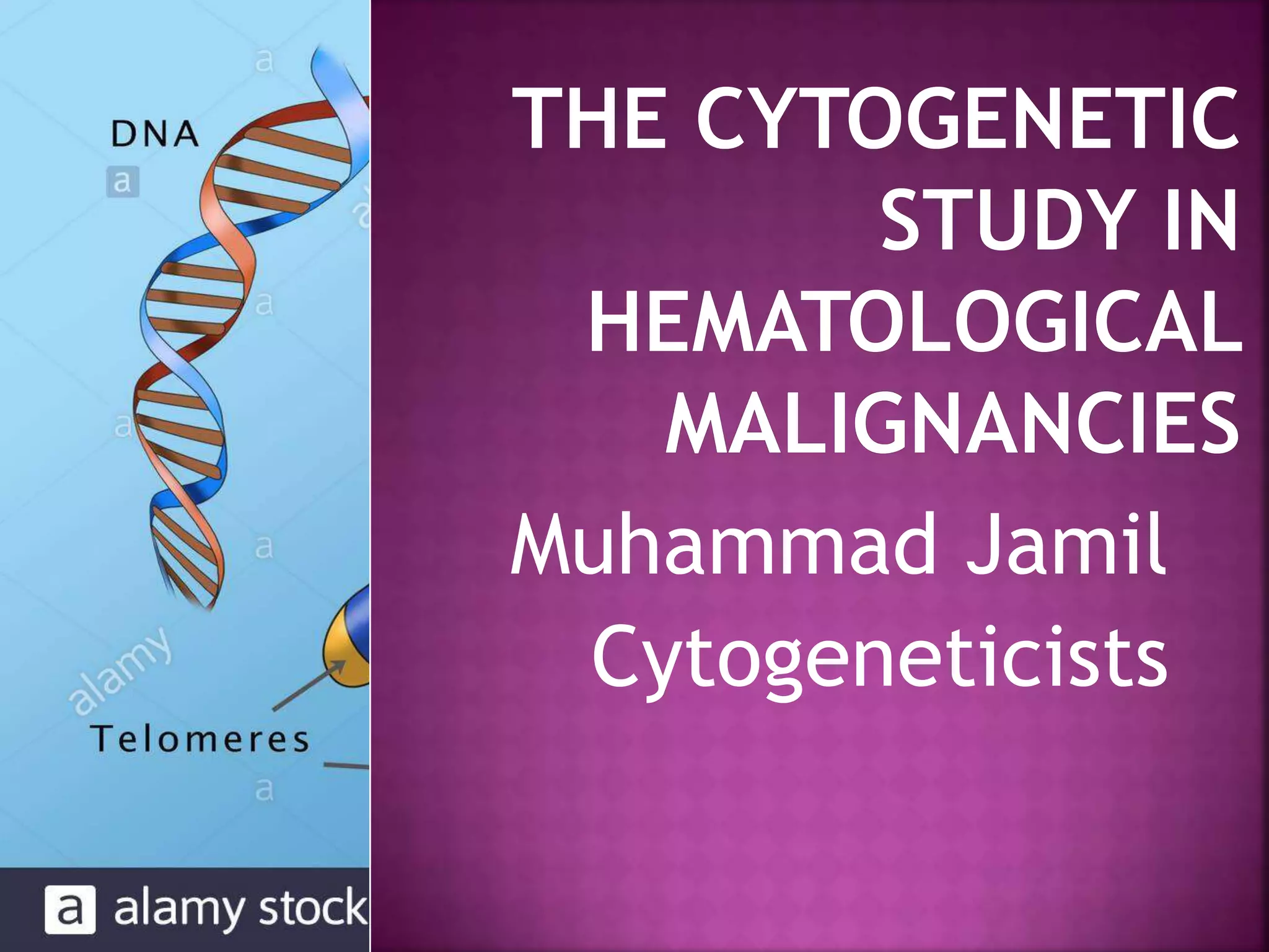 The cytogenetic study in hematological malignancies | PPTX