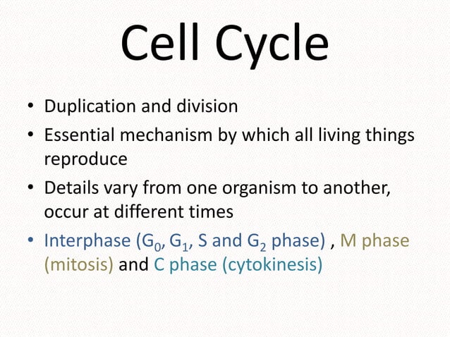 The cytoskeletal system, cell cycle and dna(project) | PPTX | Genetics ...