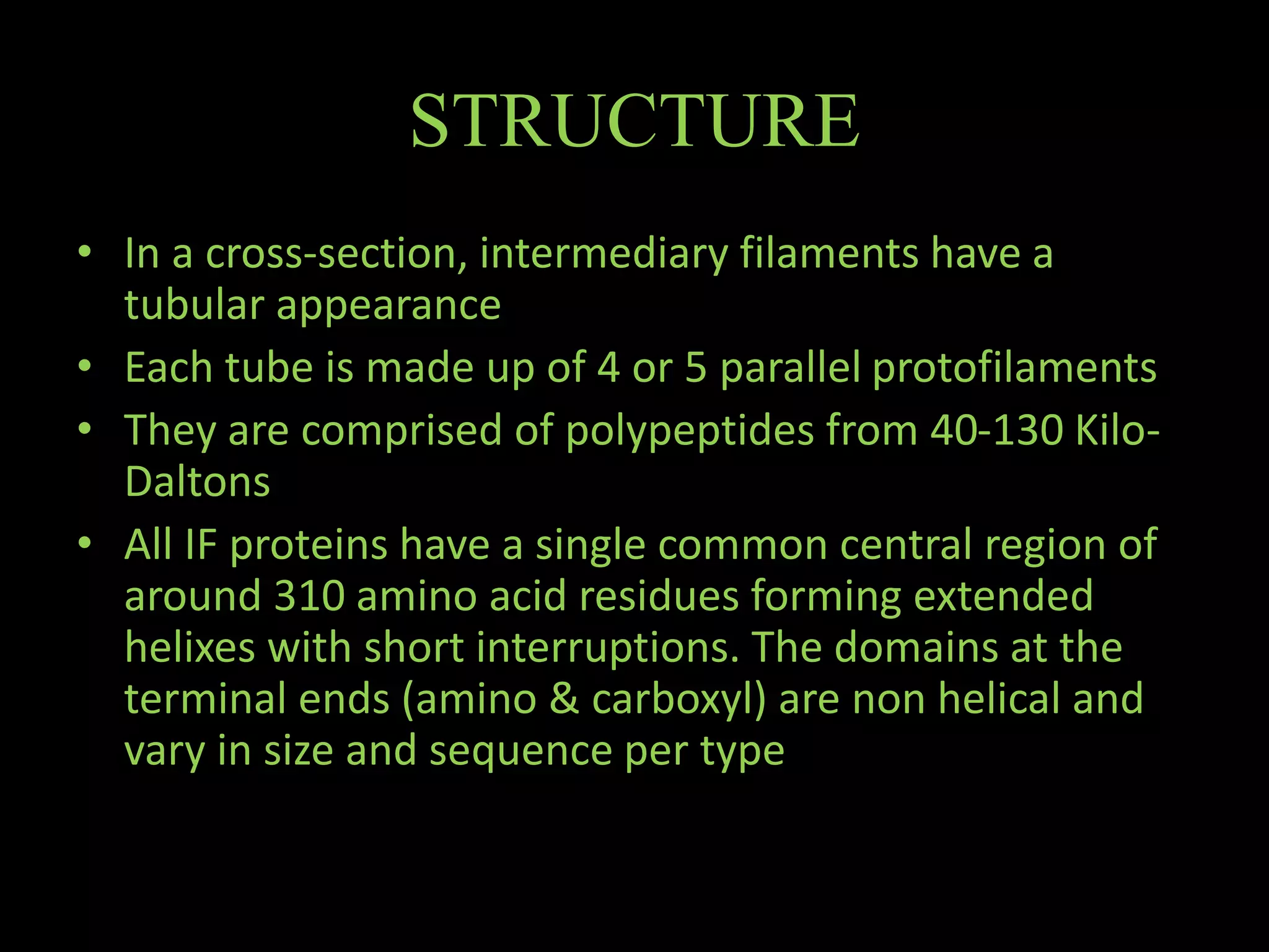 The Cytoskeleton- An overview | PPTX