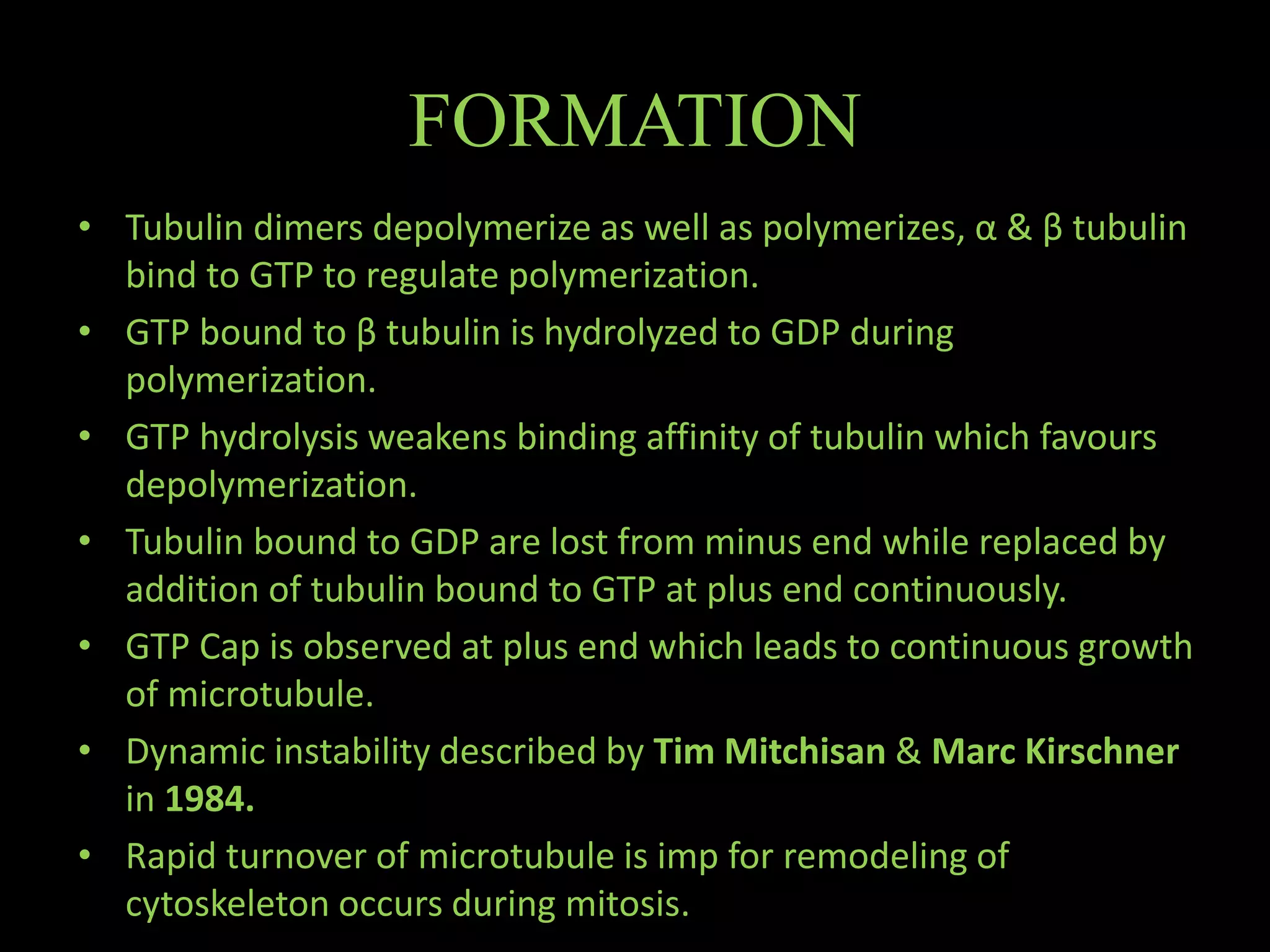 The Cytoskeleton- An overview | PPTX