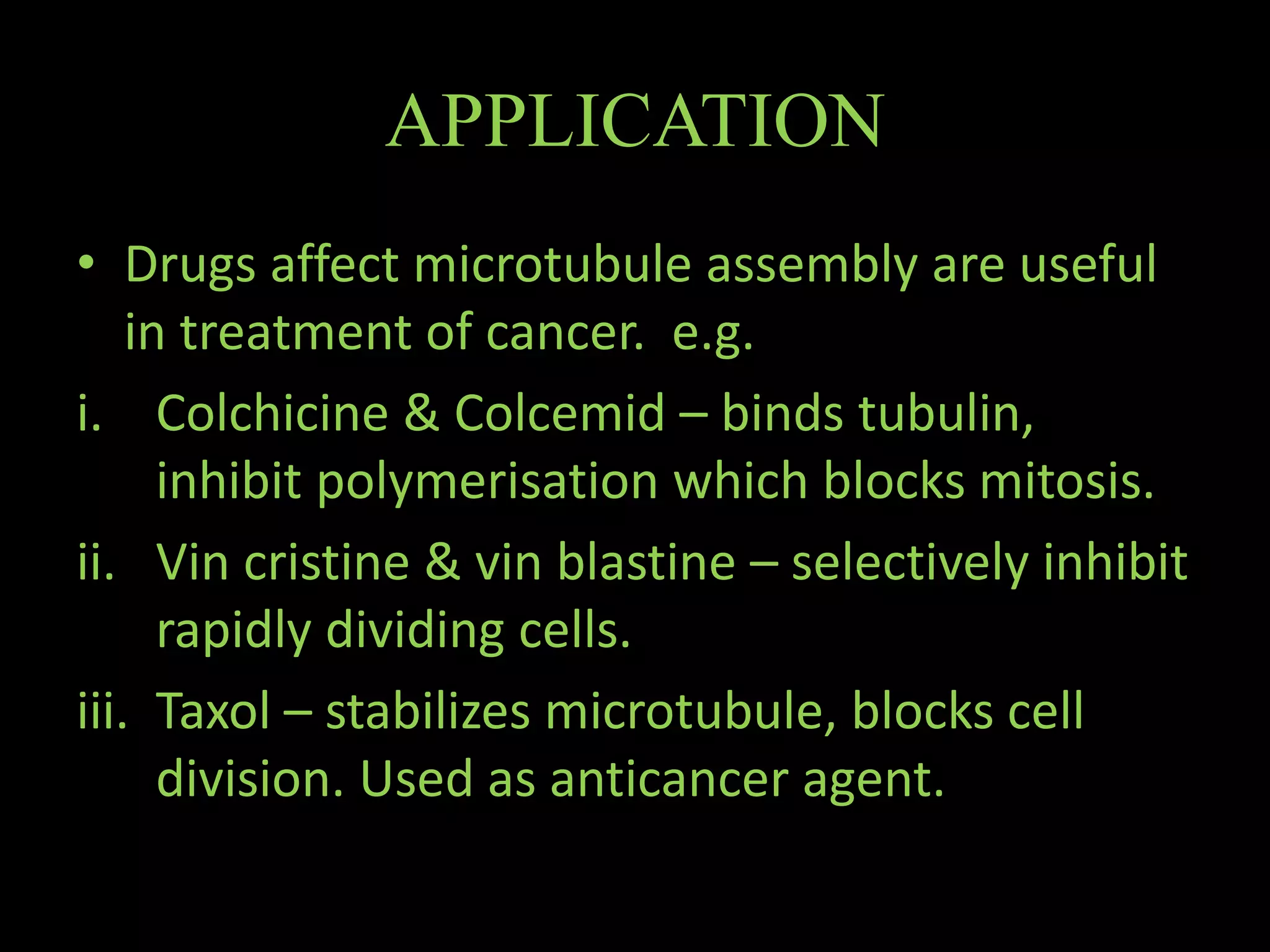 The Cytoskeleton- An overview | PPTX